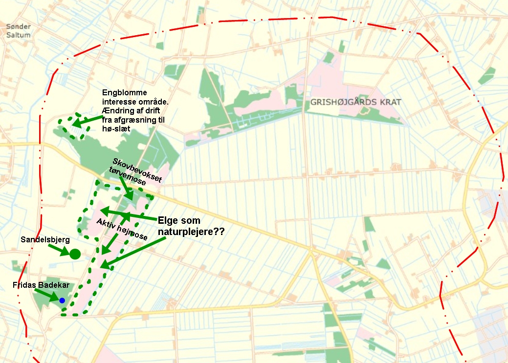 Store Vildmose Fremtidens Naturplanl gning Jammerbugt Store Vildmose Fremtidens Naturplanl gning Jammerbugt